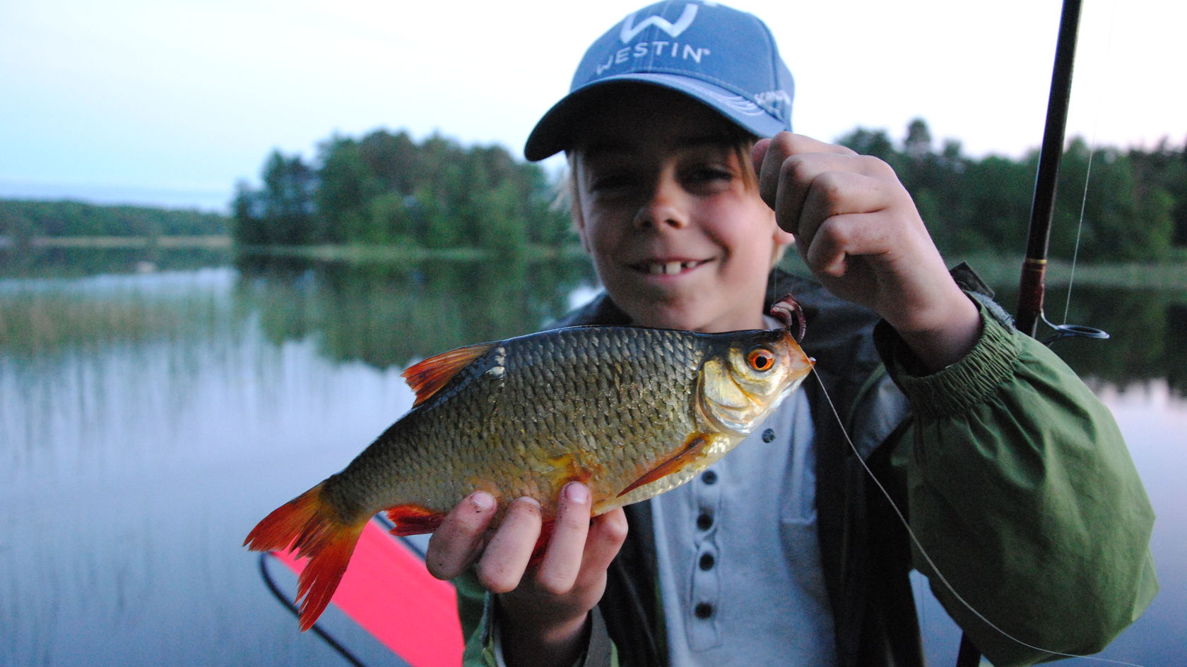 Lär dig mer om sutare — Hitta Fiske