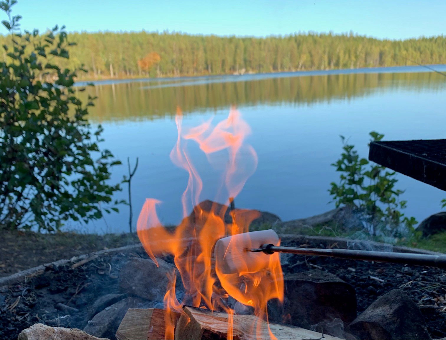 Eldning och allemansrätten | Naturkartan