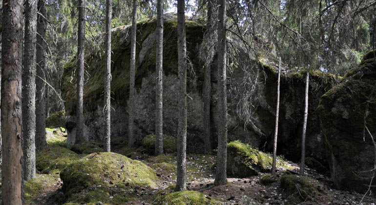 Gällberget, Naturreservat | Naturkartan
