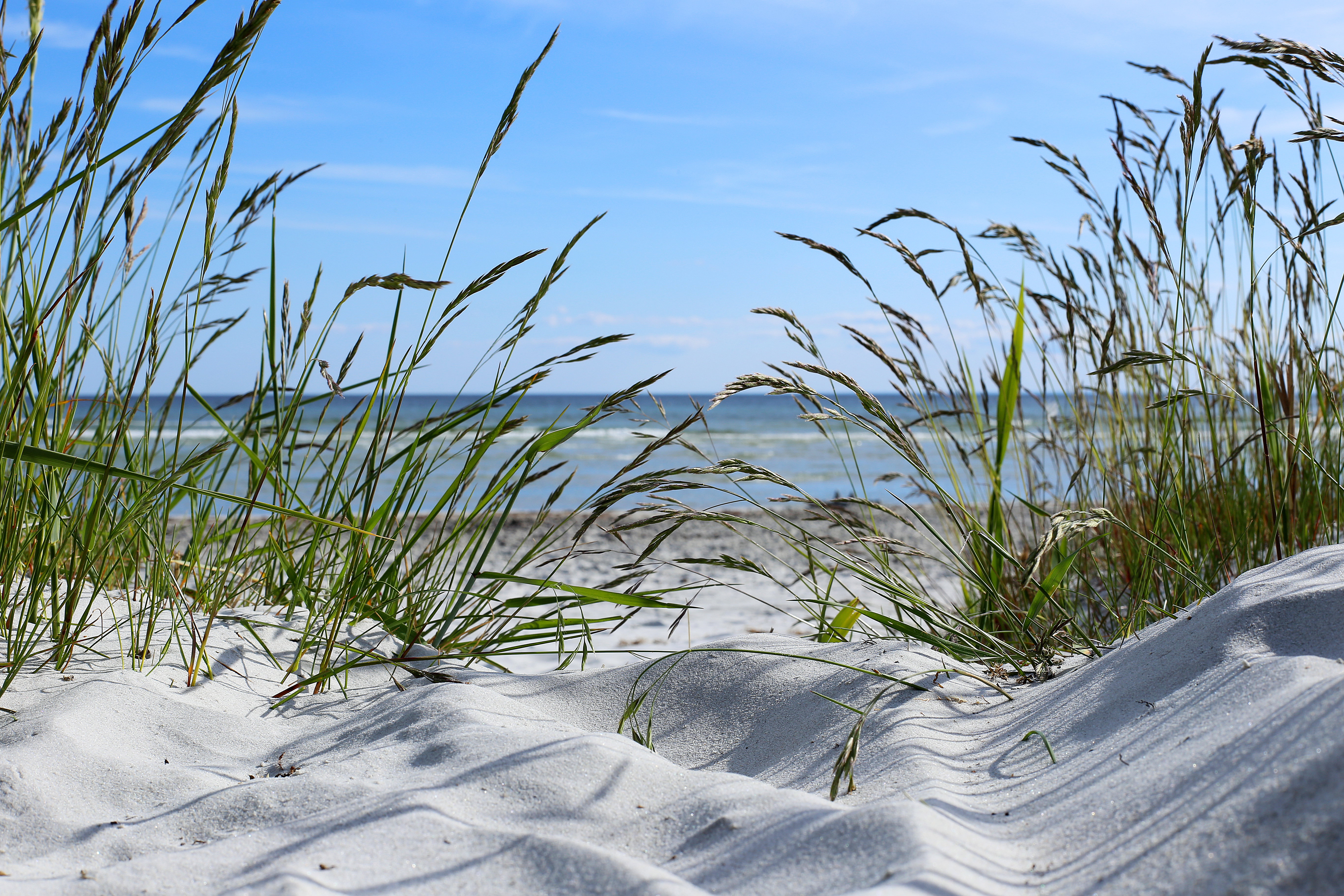Sandviken strand och badplats | Naturkartan