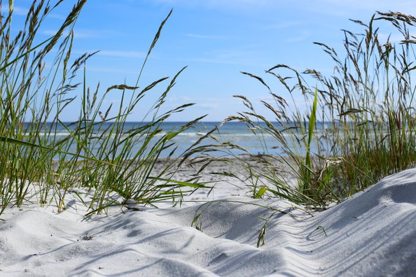 Badstrand/Badplats Sandvikens strand — Naturkartan