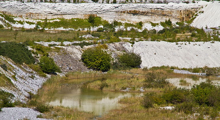 Limhamns kalkbrott, Naturreservat — Naturkartan