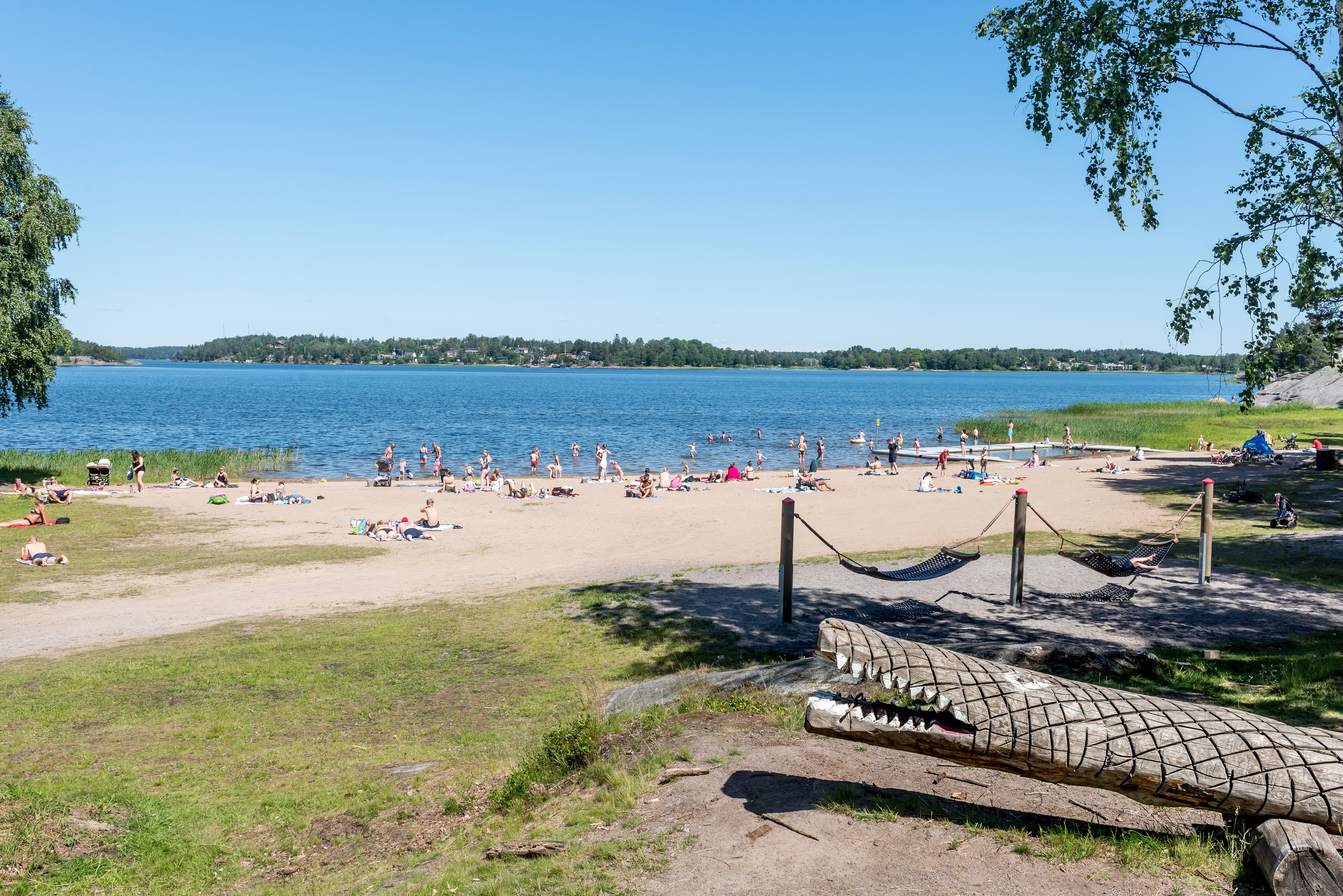 Dalens bad, Drevviken | Naturkartan