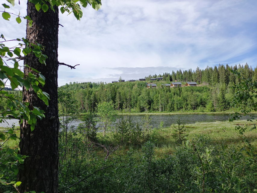 Mattila — Naturkartan