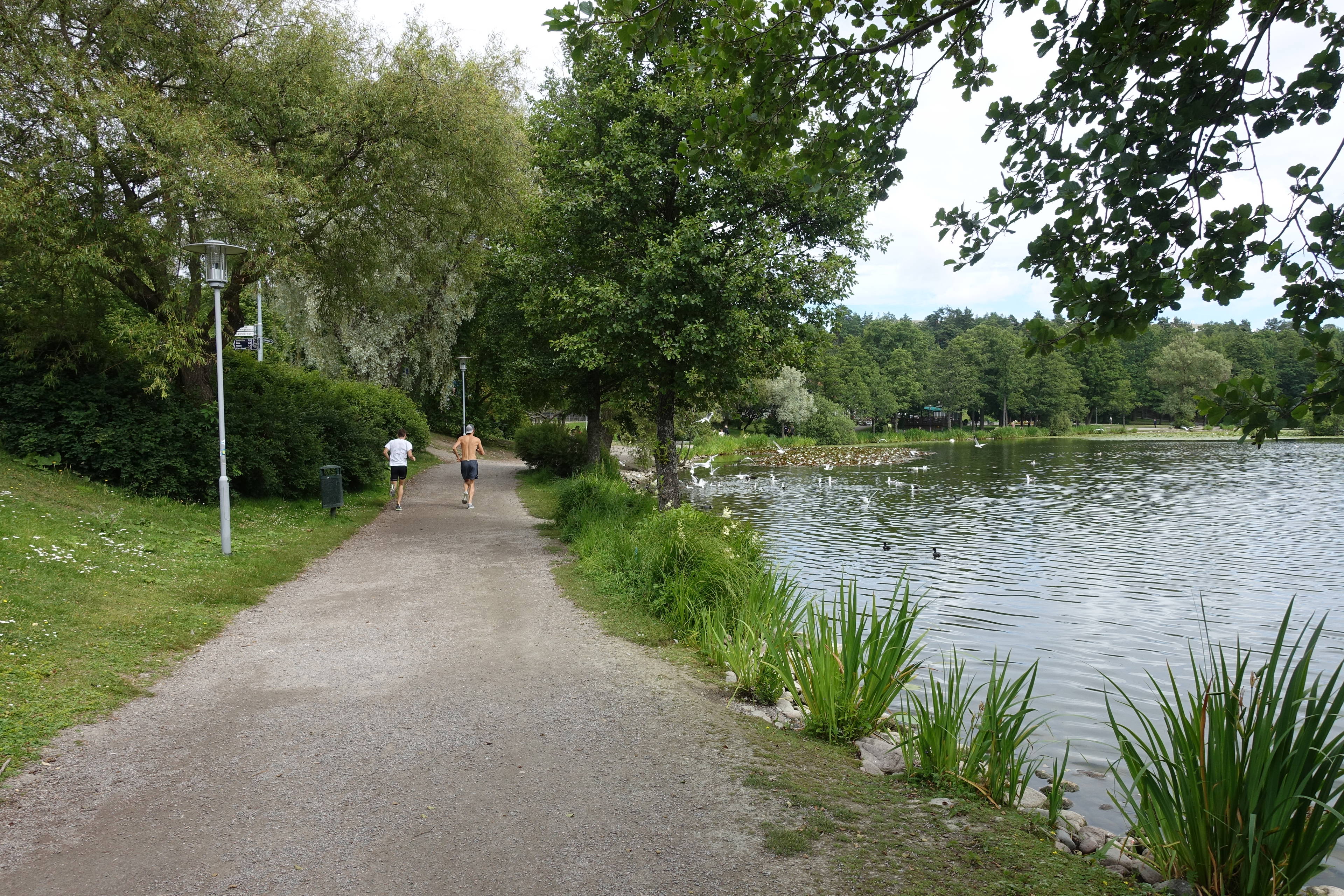 Naturguide till Sundbyberg — Naturkartan