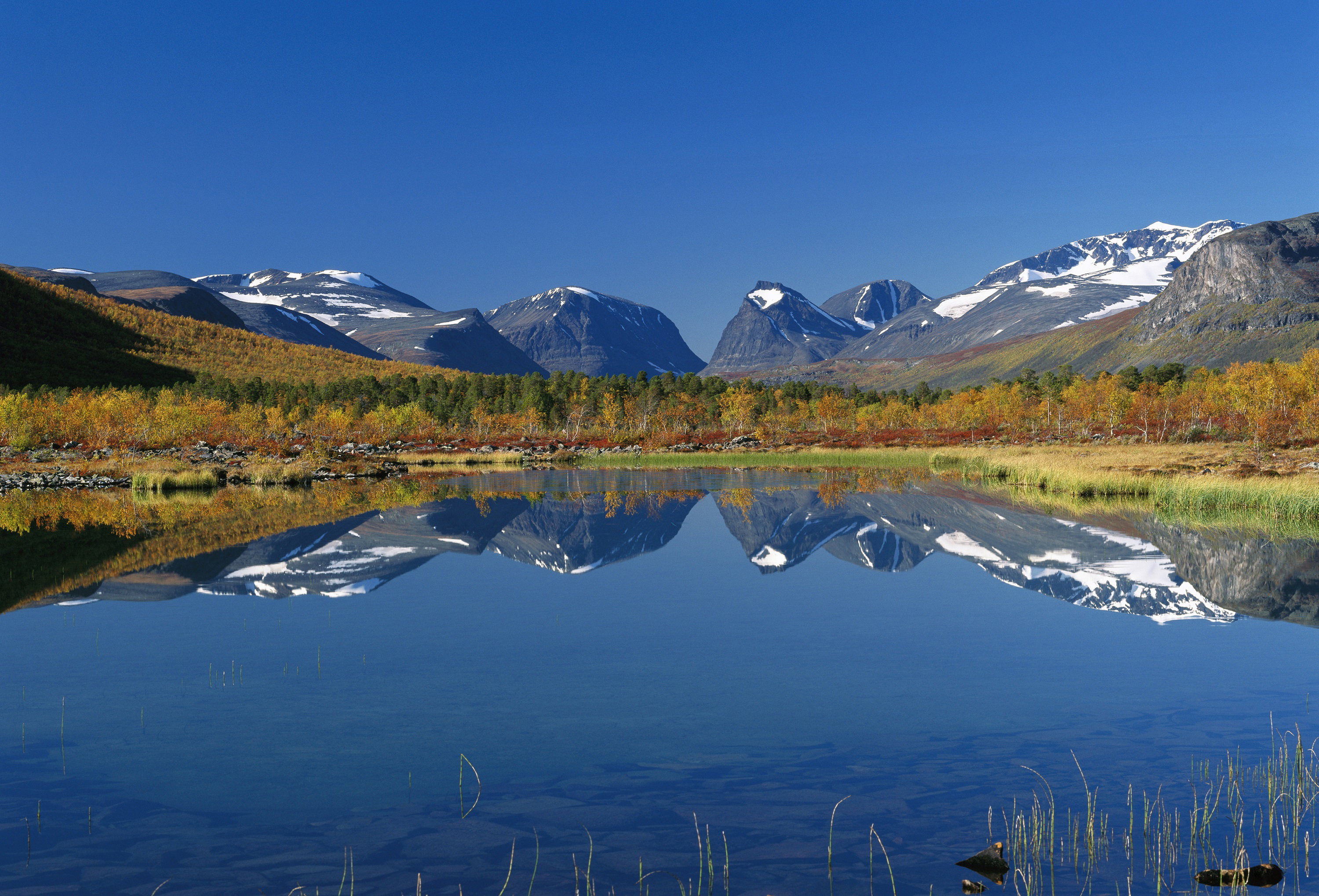Kebnekaise fjällstation-Nikkaluokta — Naturkartan
