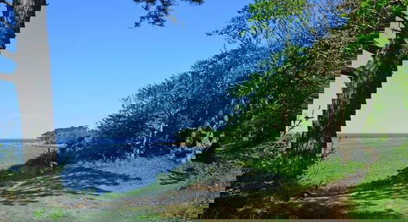 Kulla Gunnarstorp, Naturreservat — Naturkartan