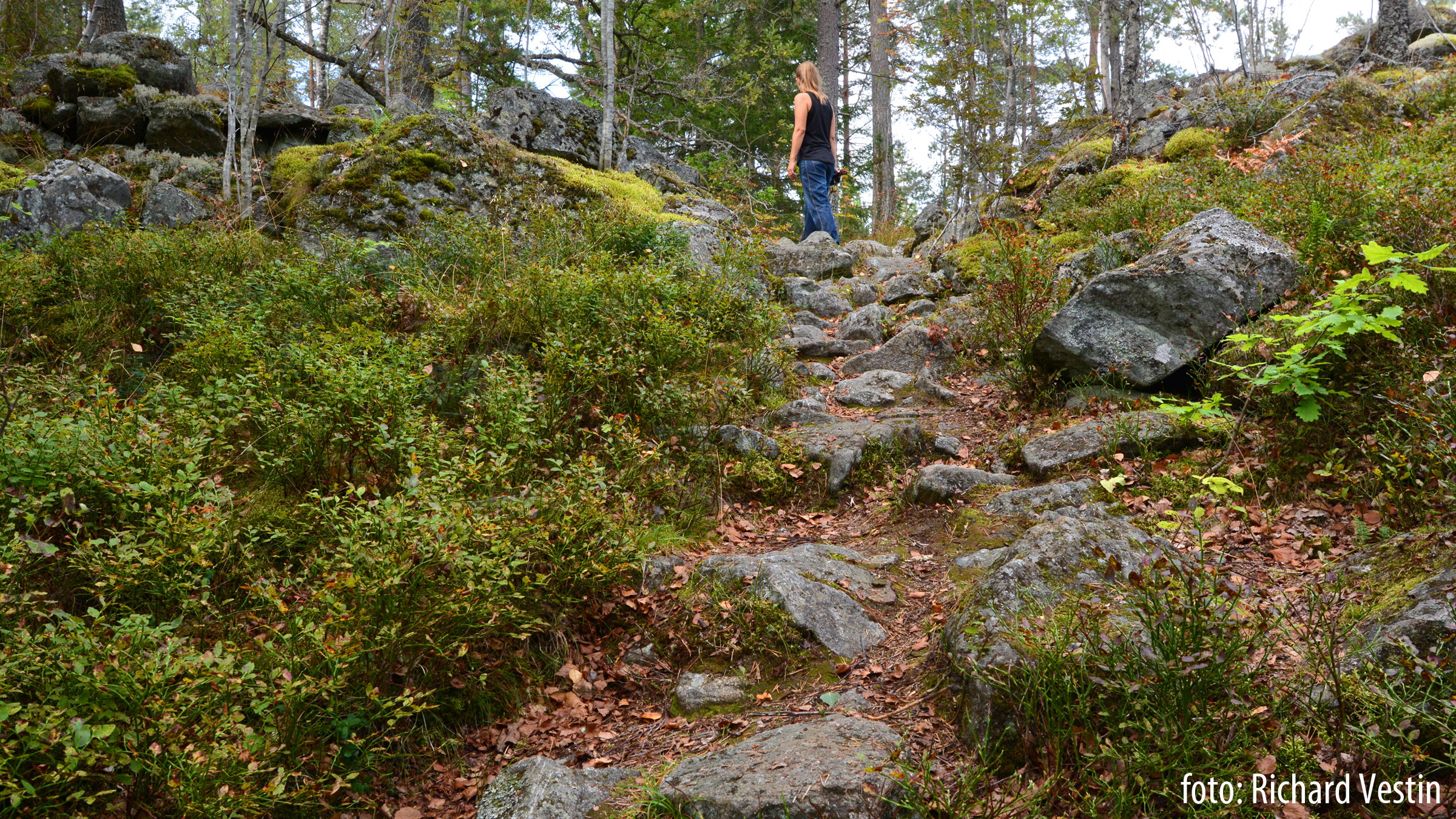Fornborg Stensättra — Naturkartan