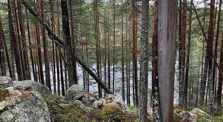 Ljusdal — Naturkartan