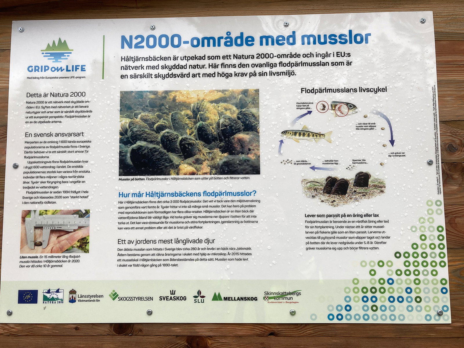 Informationstavla, Vattenslingan — Naturkartan