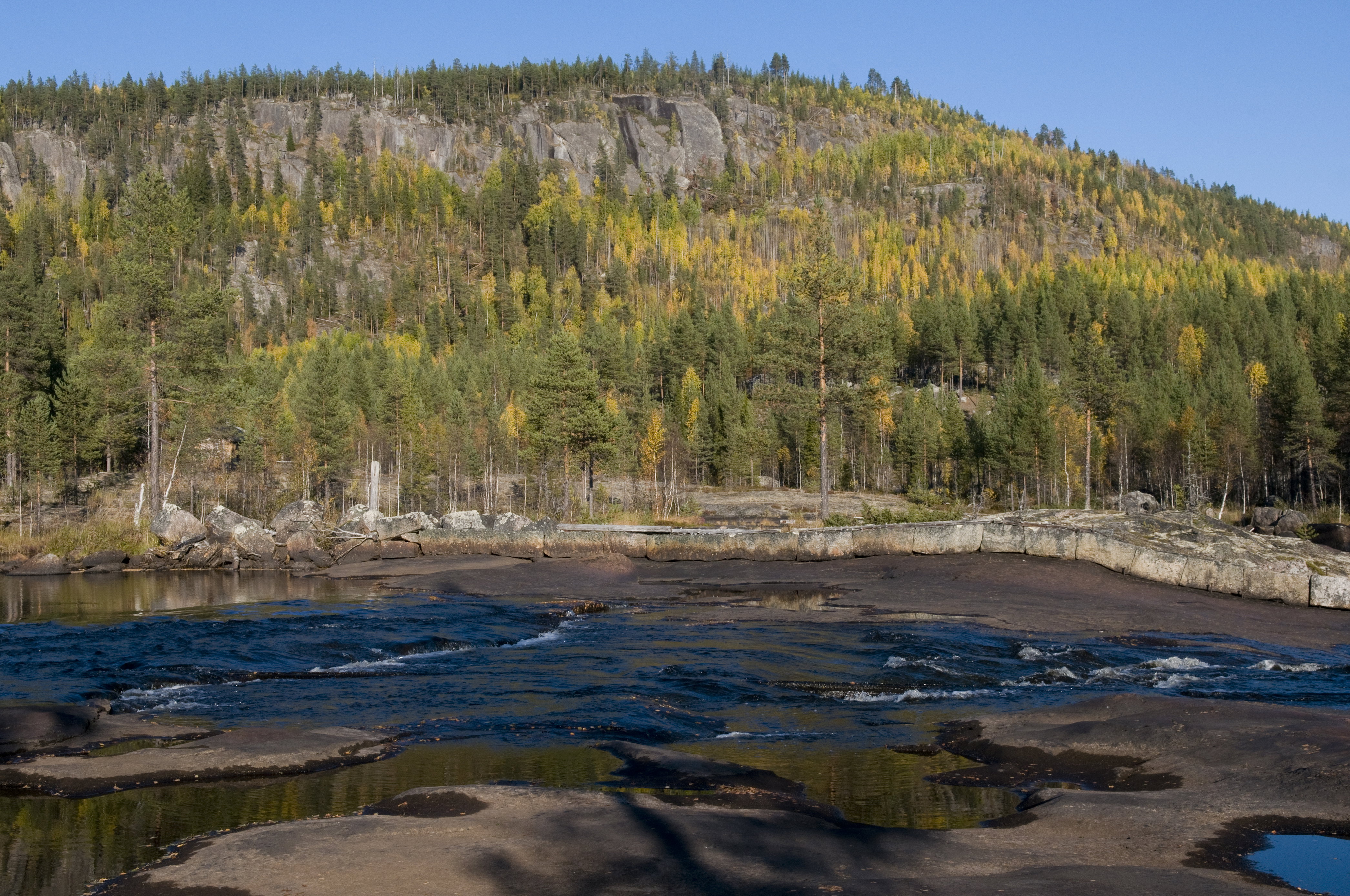 Bästa naturreservaten i Åsele | Naturkartan