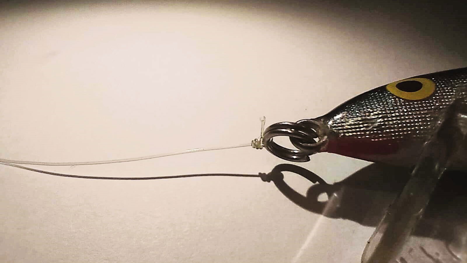 Lär dig mer om sutare — Hitta Fiske