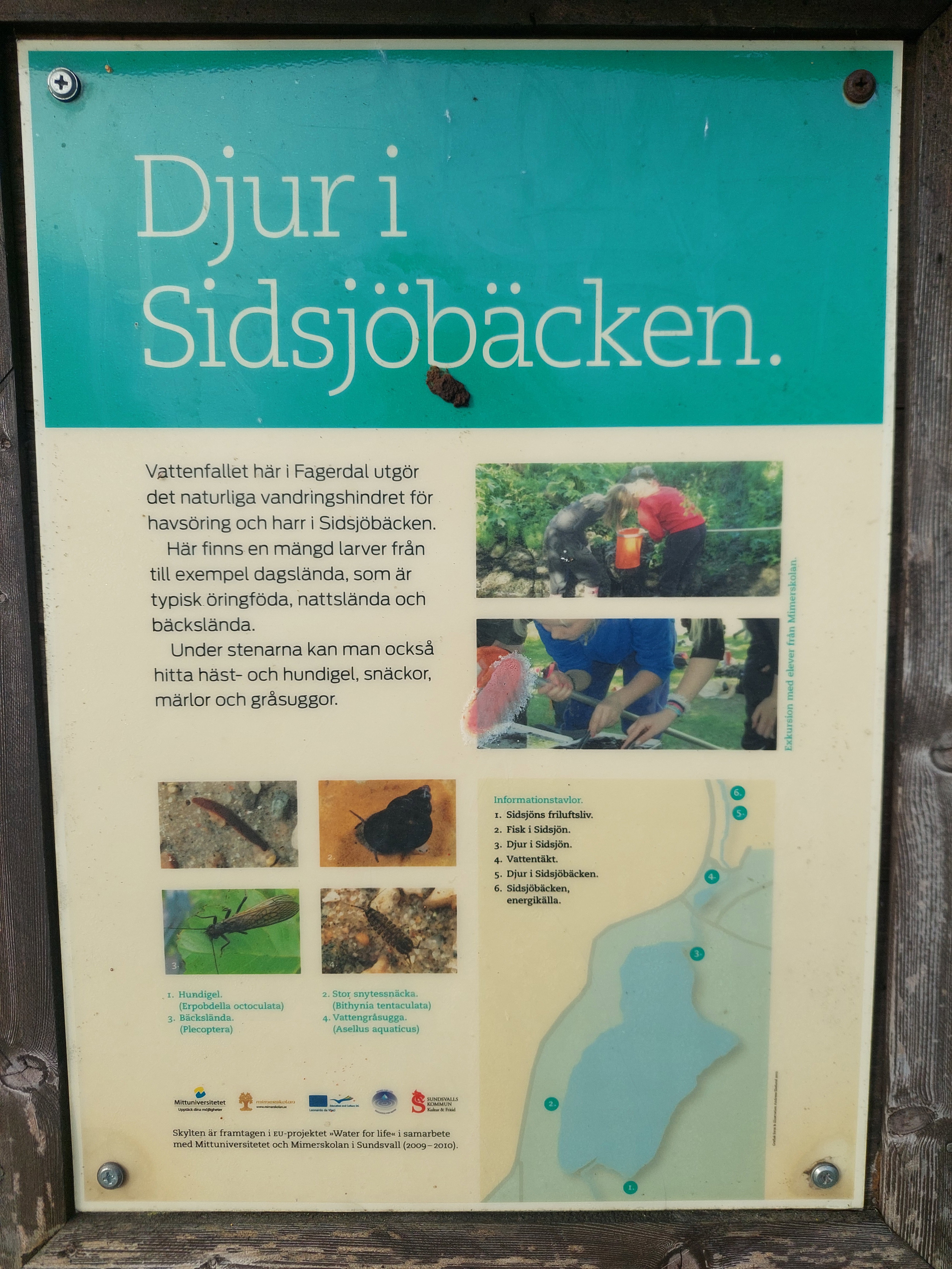 Informationstavla Fagerdalsparken Djur i bäcken — Naturkartan