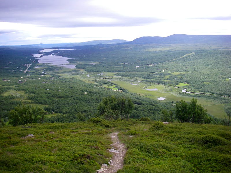 Naturguide till Härjedalen — Naturkartan