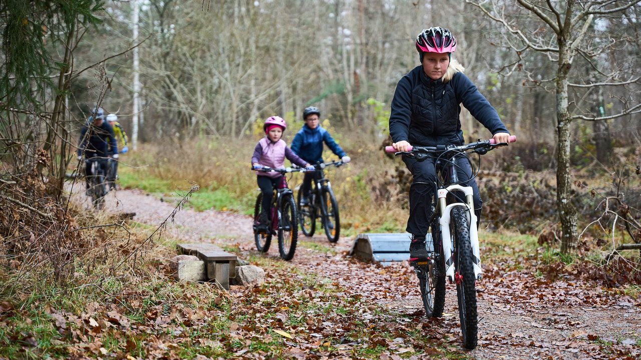 Arboga MTB Arena — Trails of Västmanland