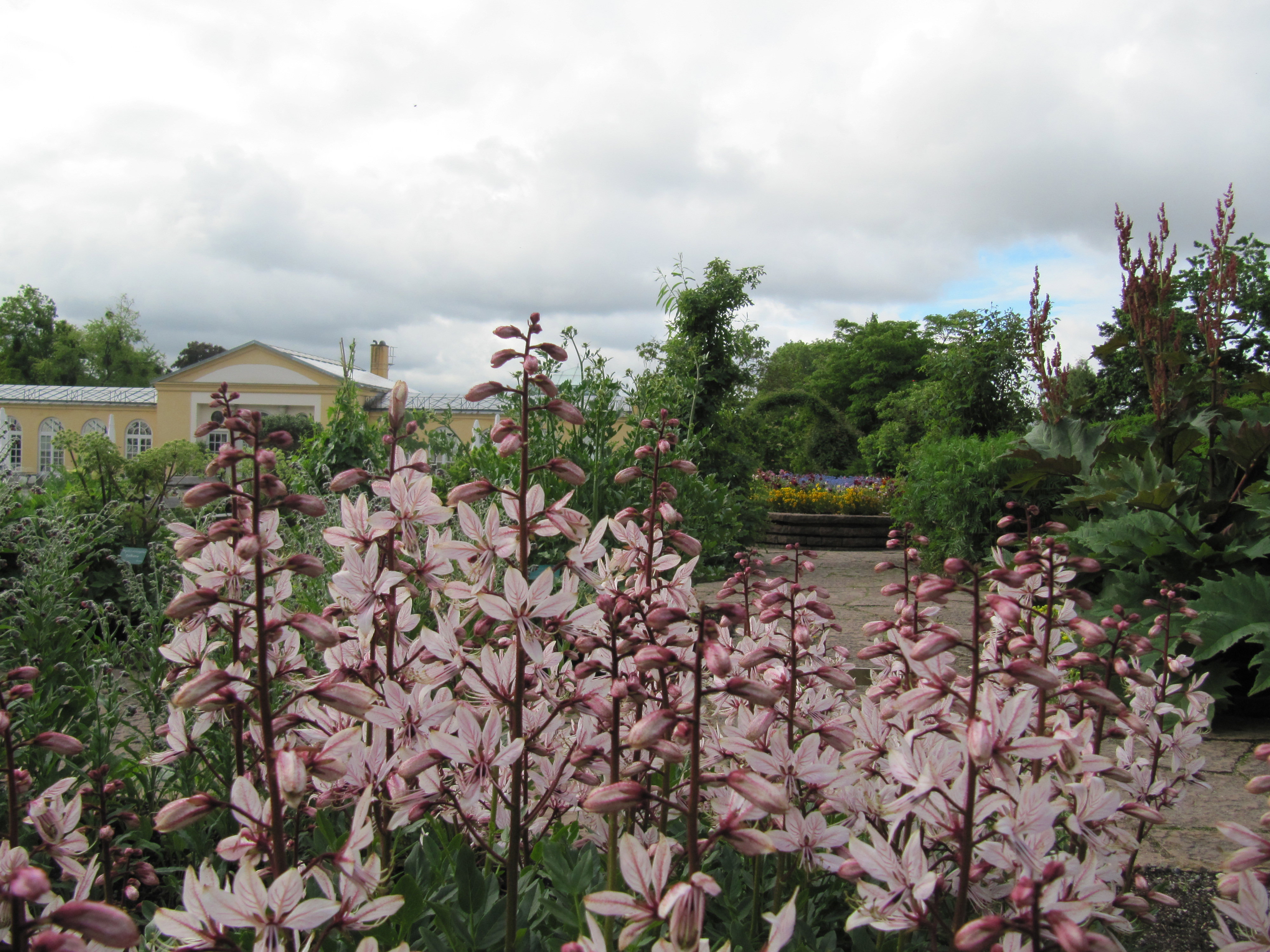Bergianska trädgården — Naturkartan