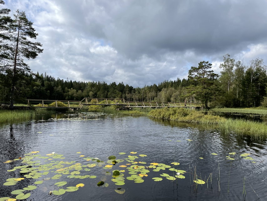 Naturguide till Tranemo — Naturkartan