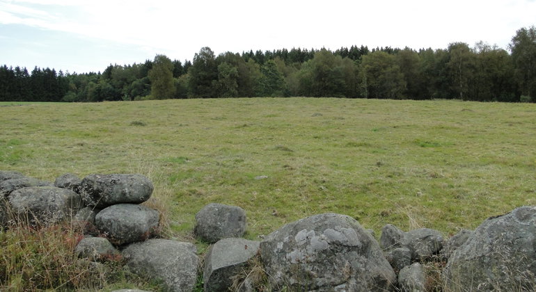 Fjällmossen, Naturreservat — Naturkartan
