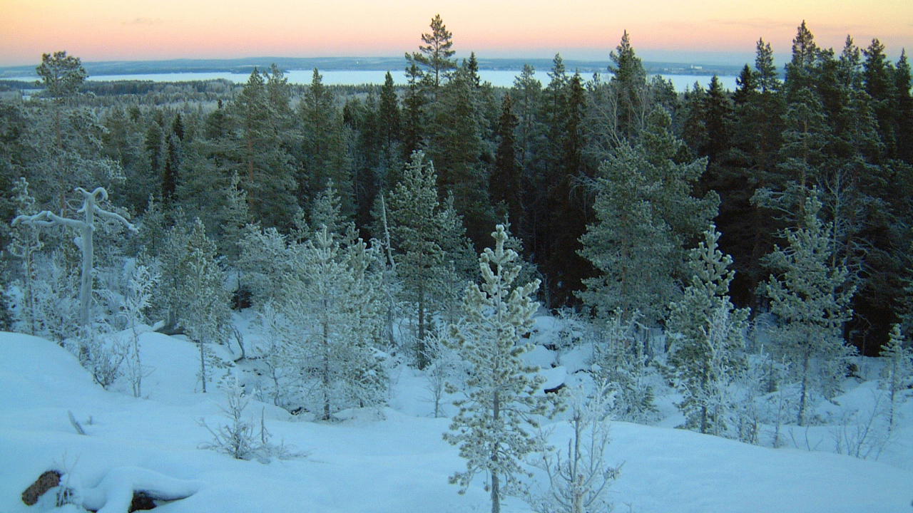 Naturguide till Norrbottens län — Naturkartan