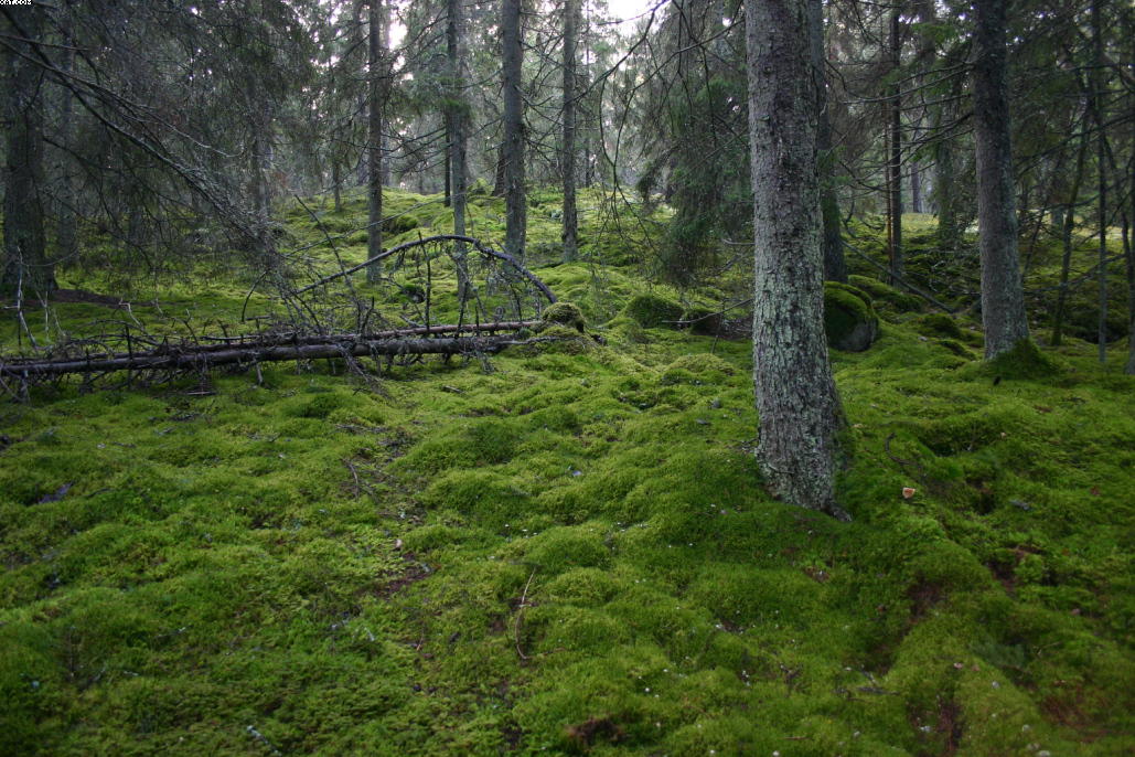 Naturguide till Stockholms län — Naturkartan