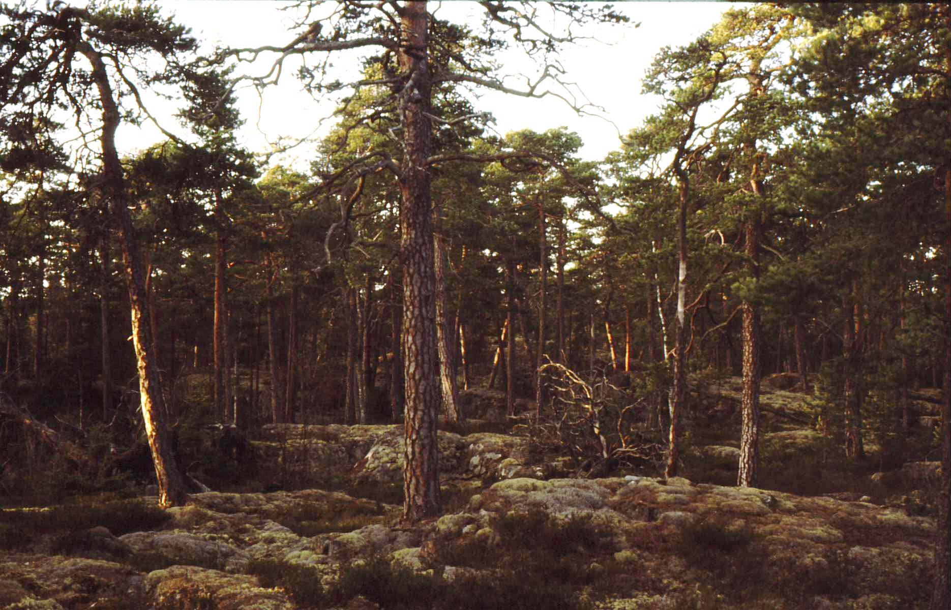 Naturguide till Stockholms län — Naturkartan