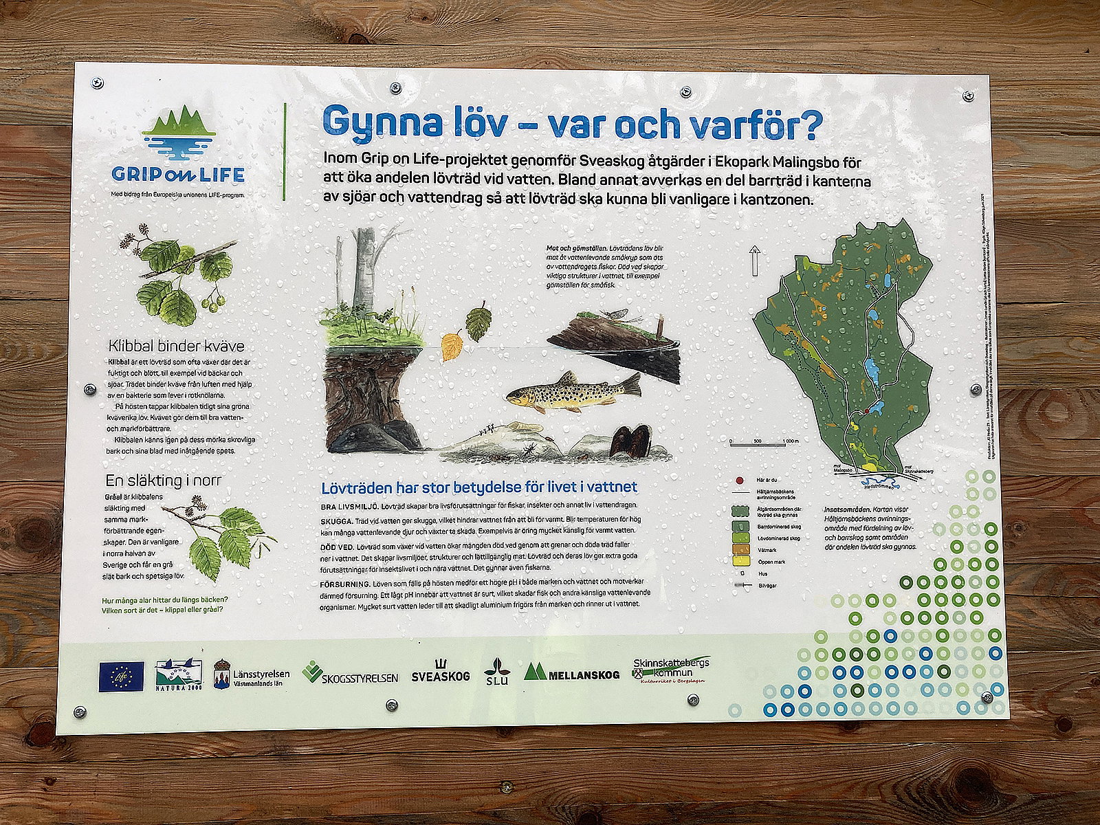 Informationstavla, Vattenslingan — Naturkartan