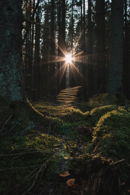 Naturguide till Skurup — Naturkartan