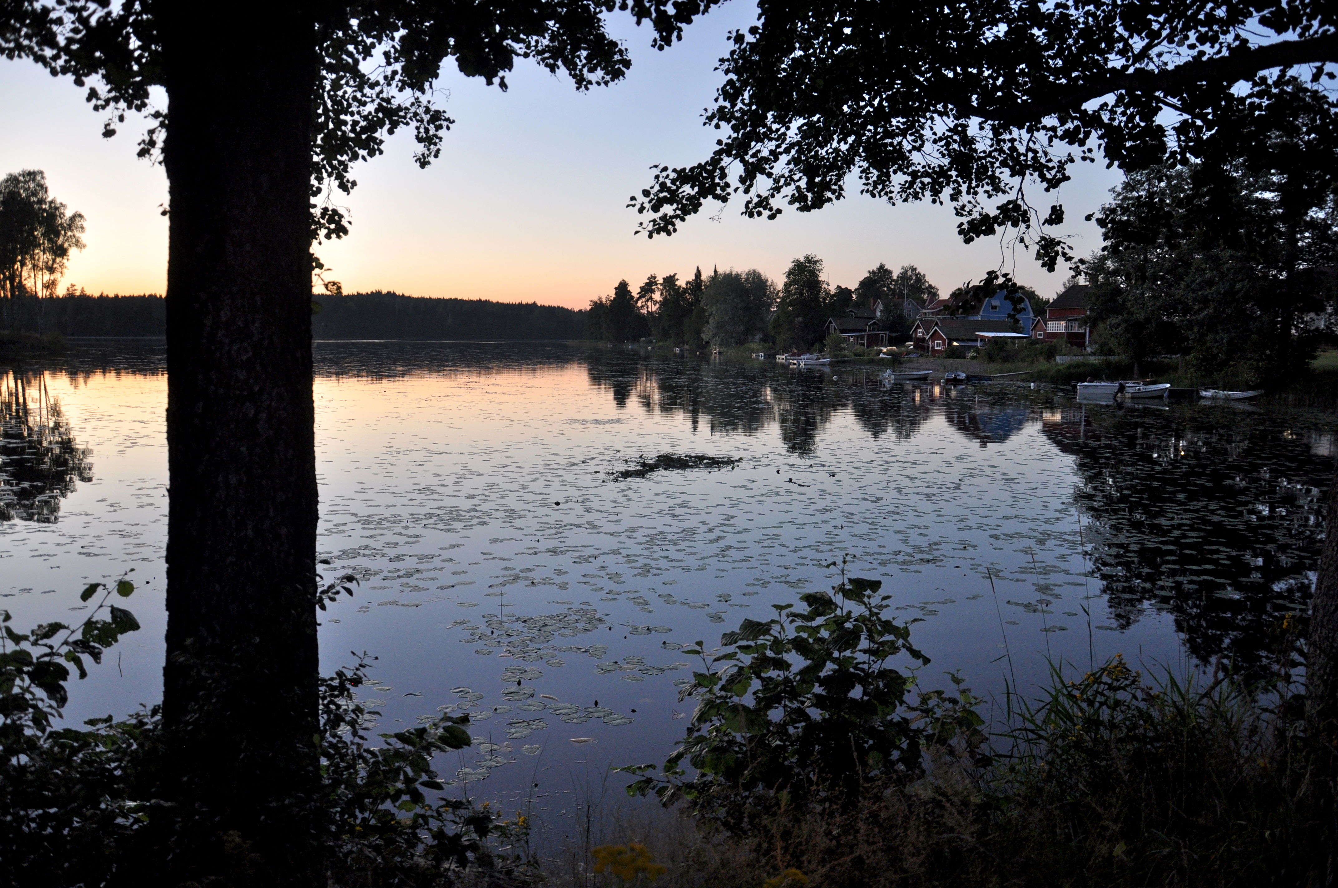 Fiske, Vismen — Naturkartan