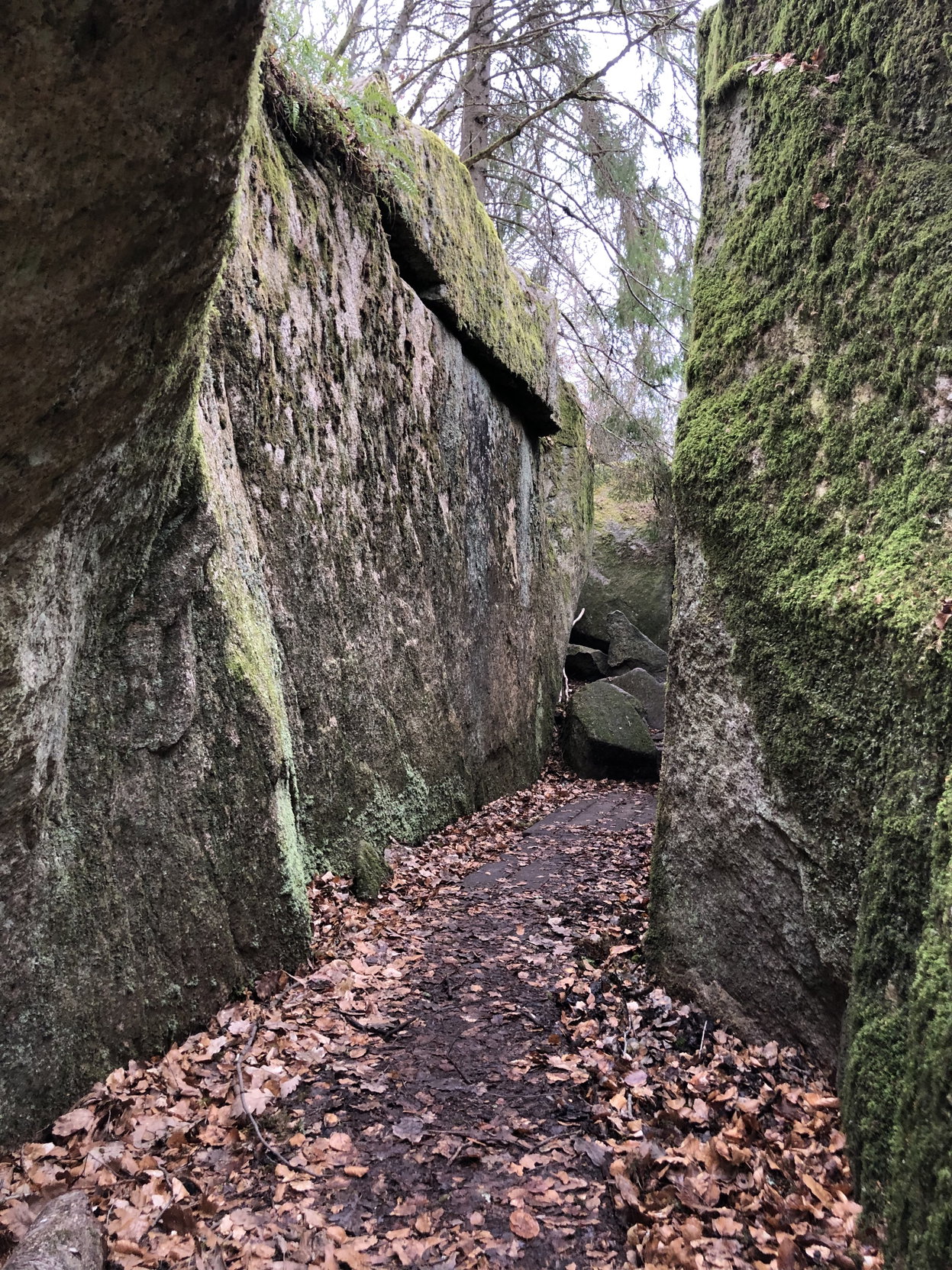 Trollberget, Åsnens nationalpark — Naturkartan