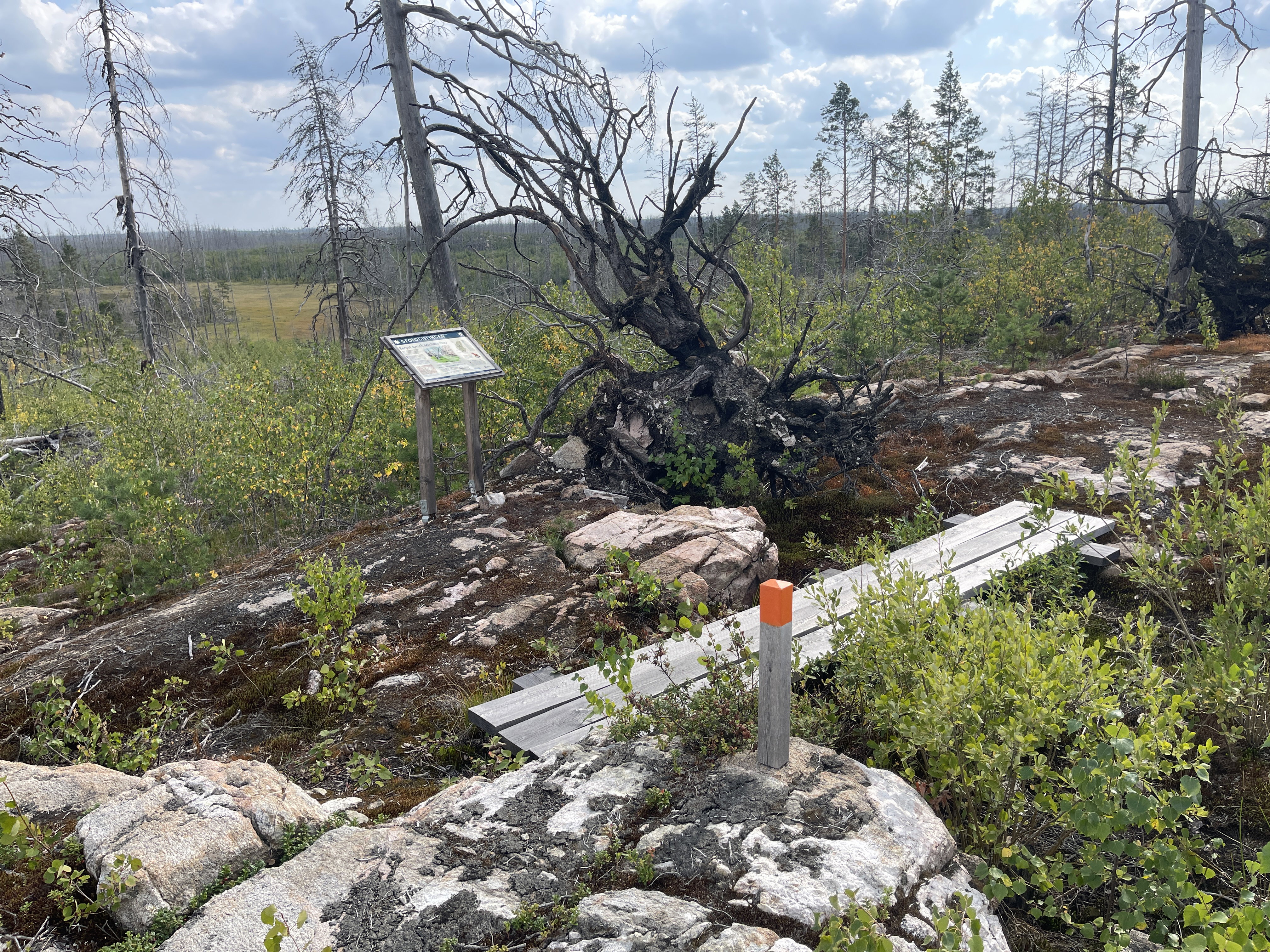 Informationstavla 6, Geologislingan — Naturkartan
