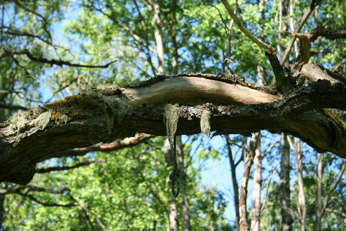 Naturguide till Stockholms län — Naturkartan