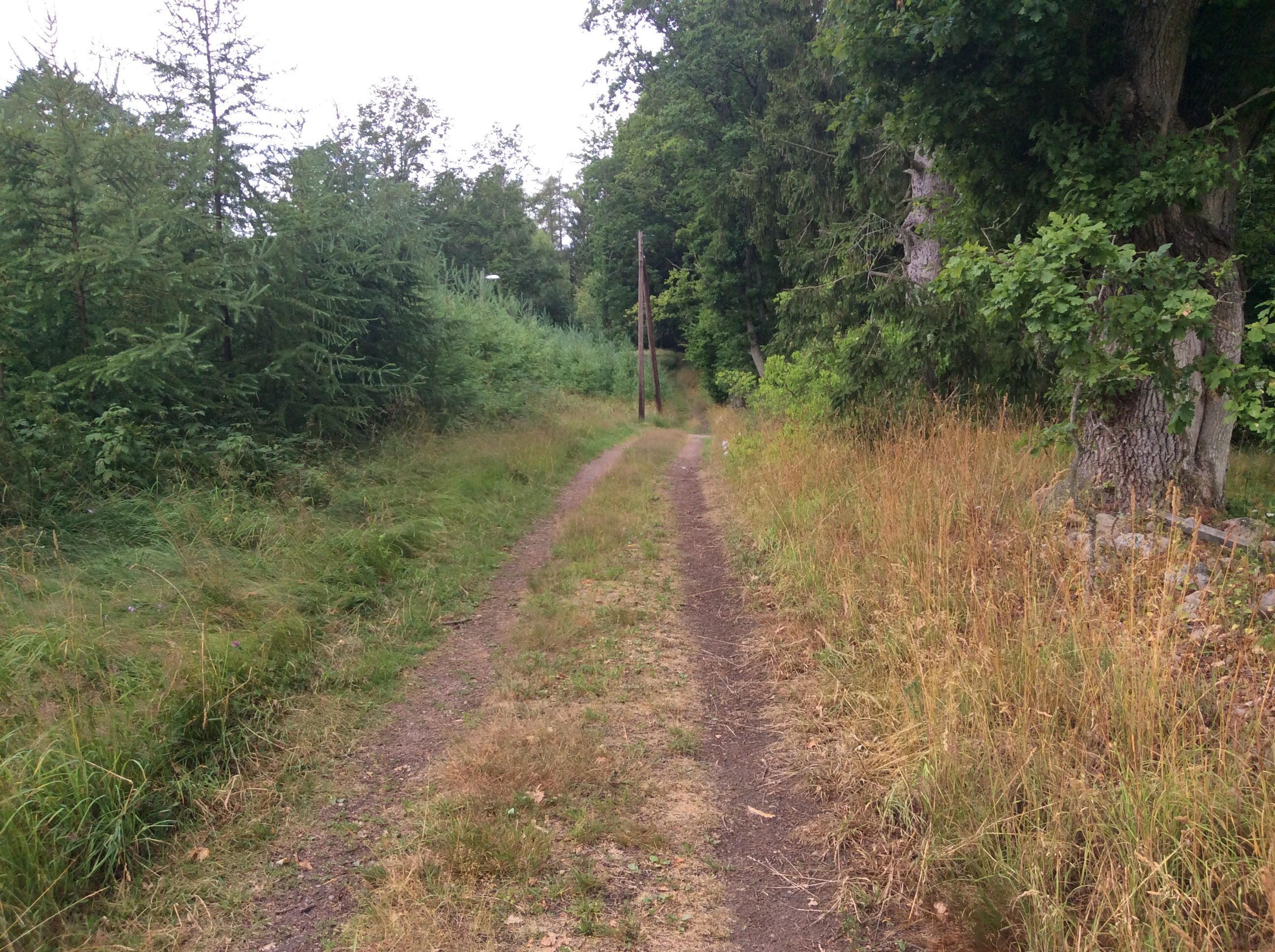 Stackedala med Klintabäckens naturreservat — Naturkartan