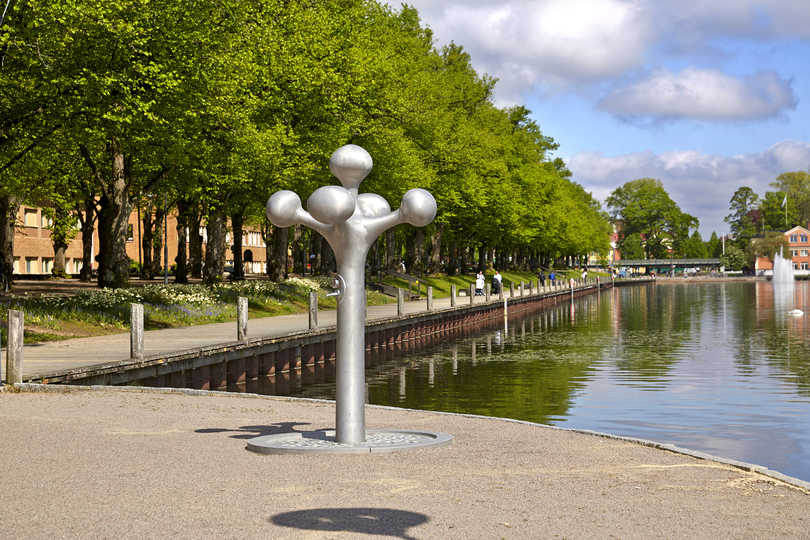 Drinking Tree — Naturkartan