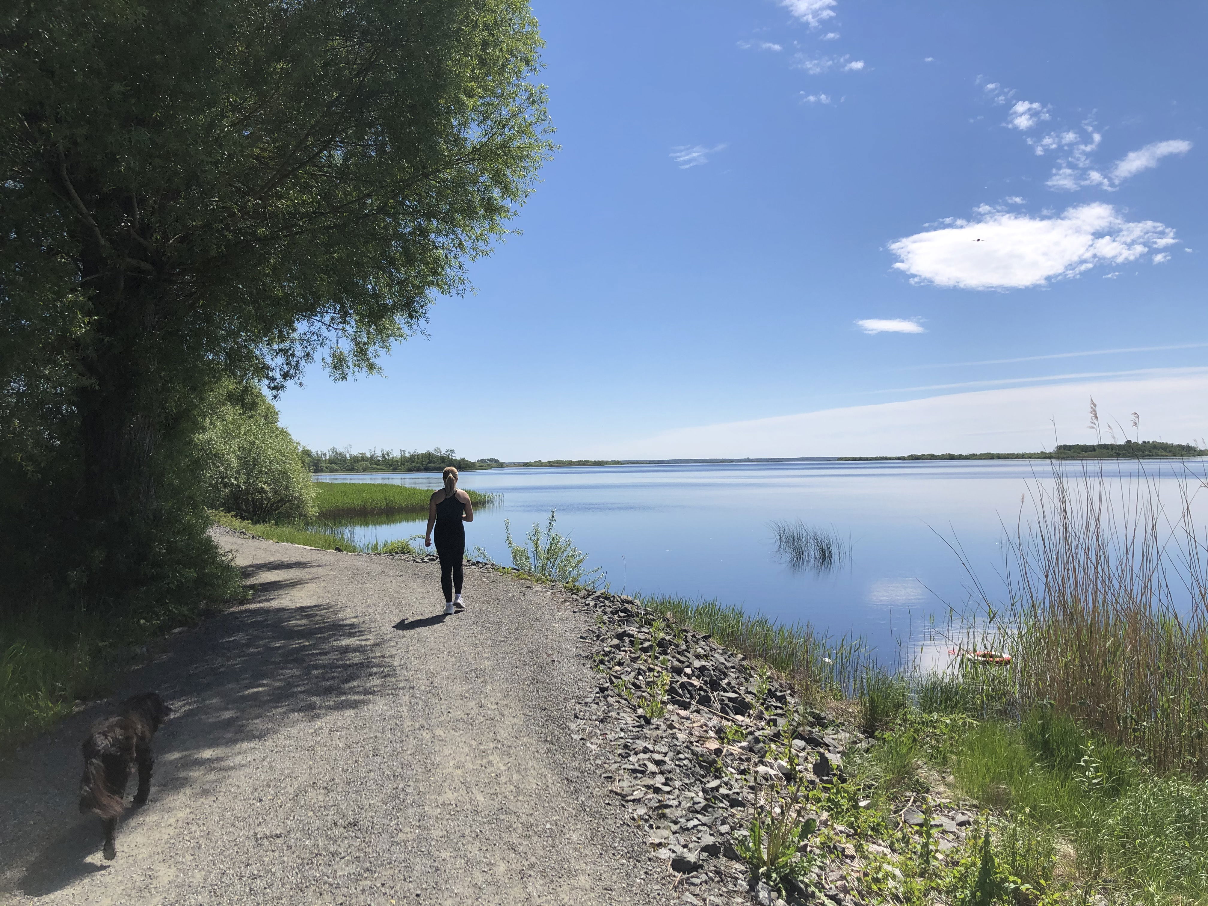 Uddens grönområde — Naturkartan