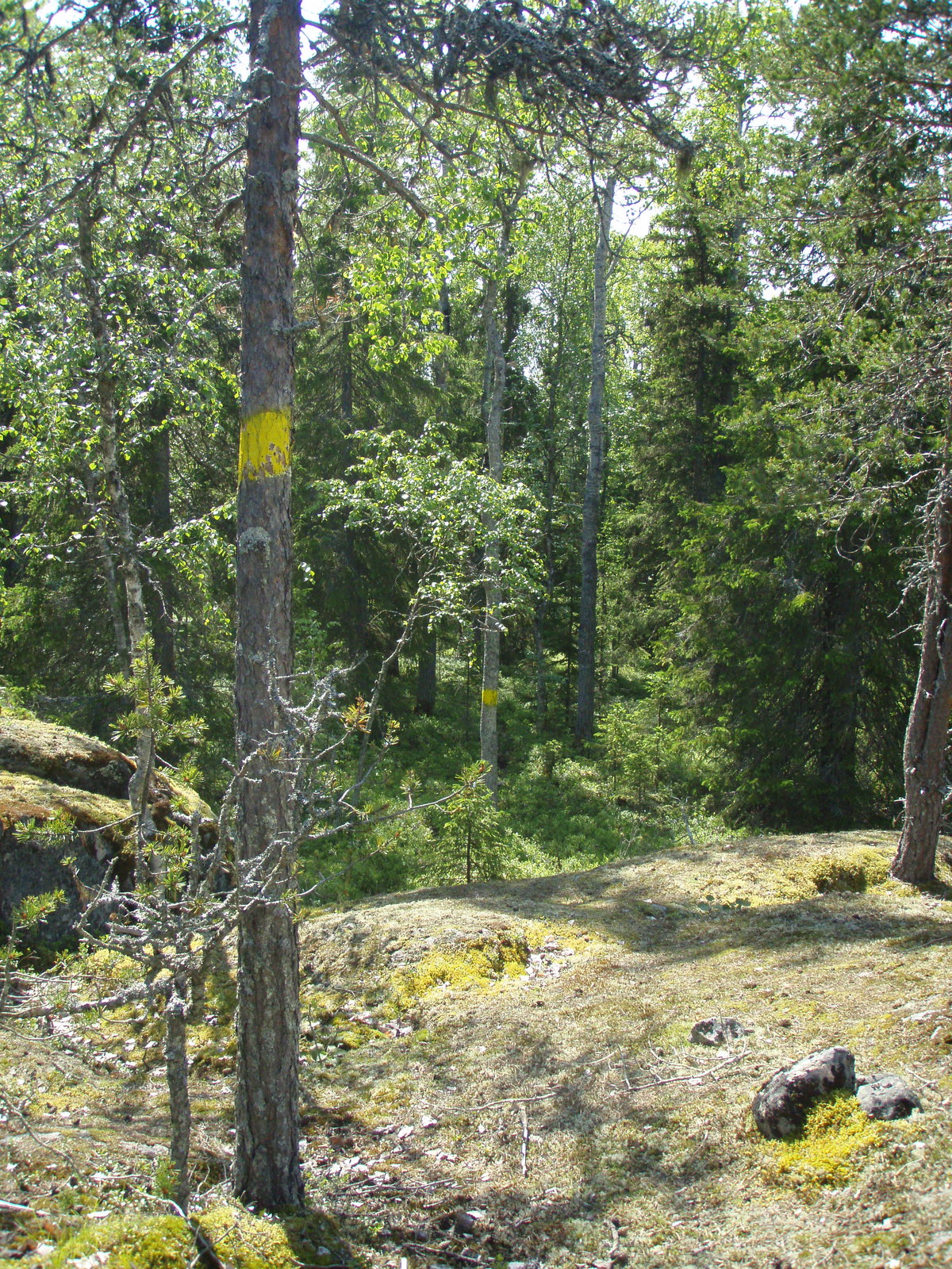 Naturguide till Norrbottens län — Naturkartan