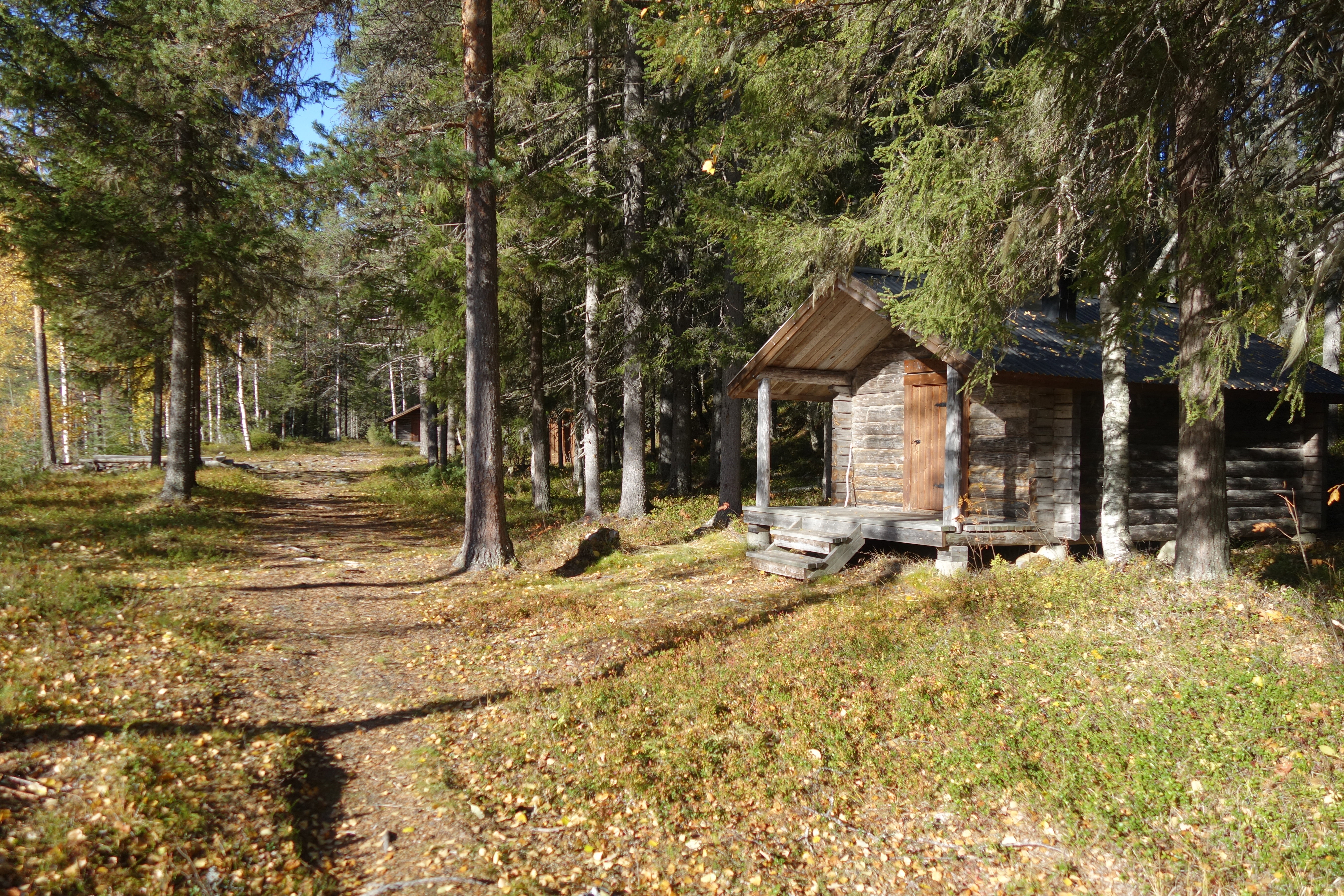 Best nature reserve in Bjurholm | Naturkartan