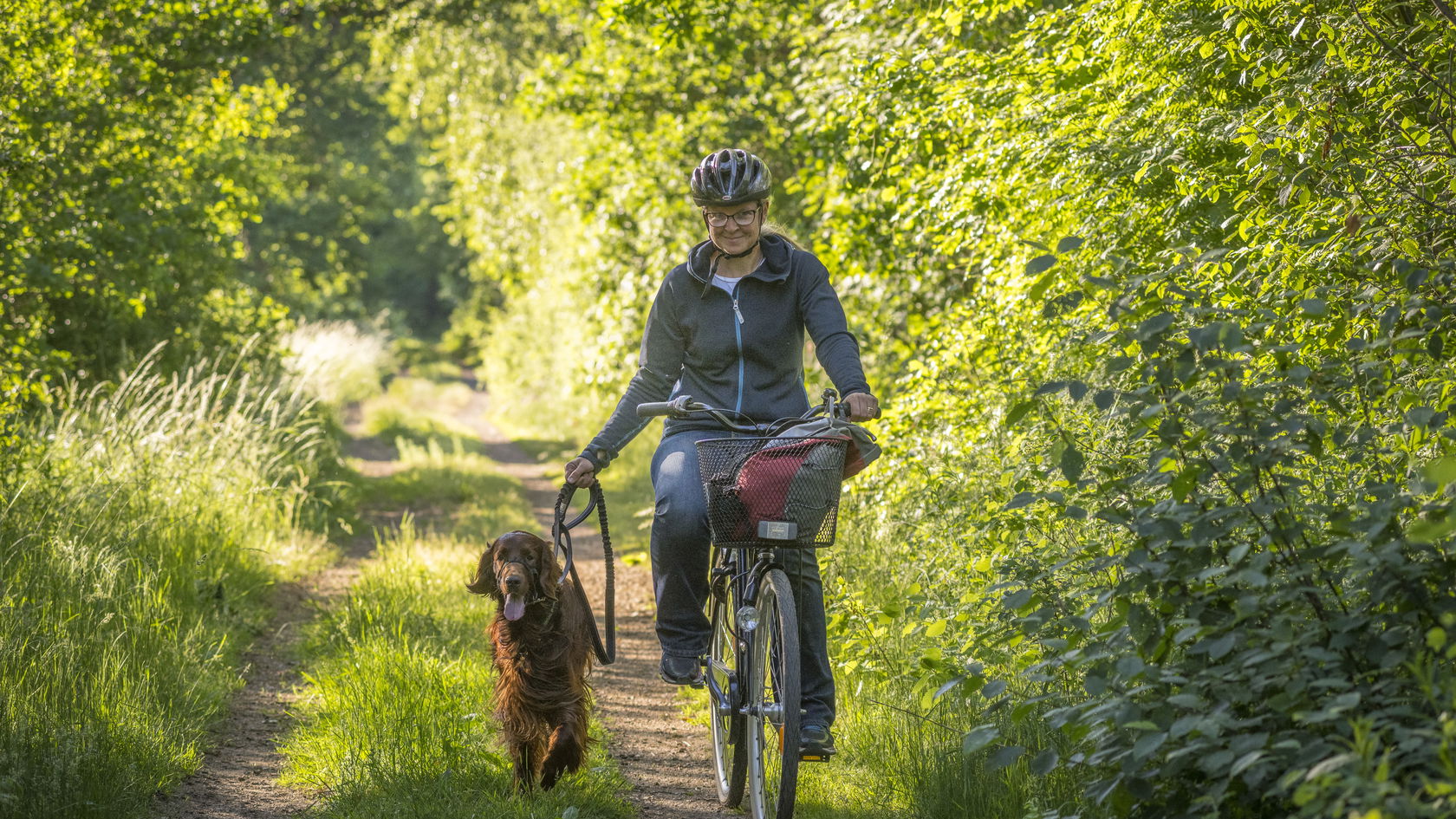 Tidsresa cykeltur Ljungbyhed-Riseberga, Klippan — Rönne å och Ringsjön