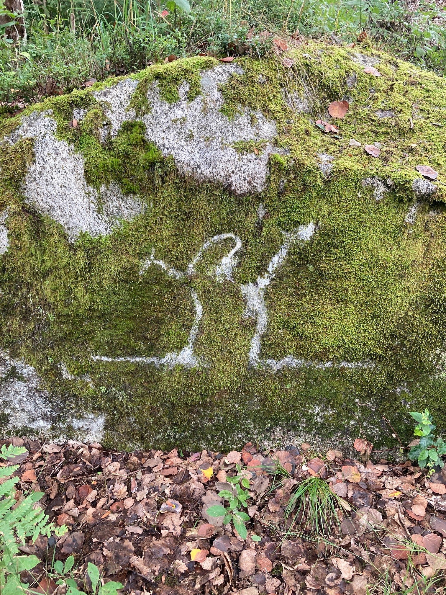 Art: Linus på Linjen — Naturkartan