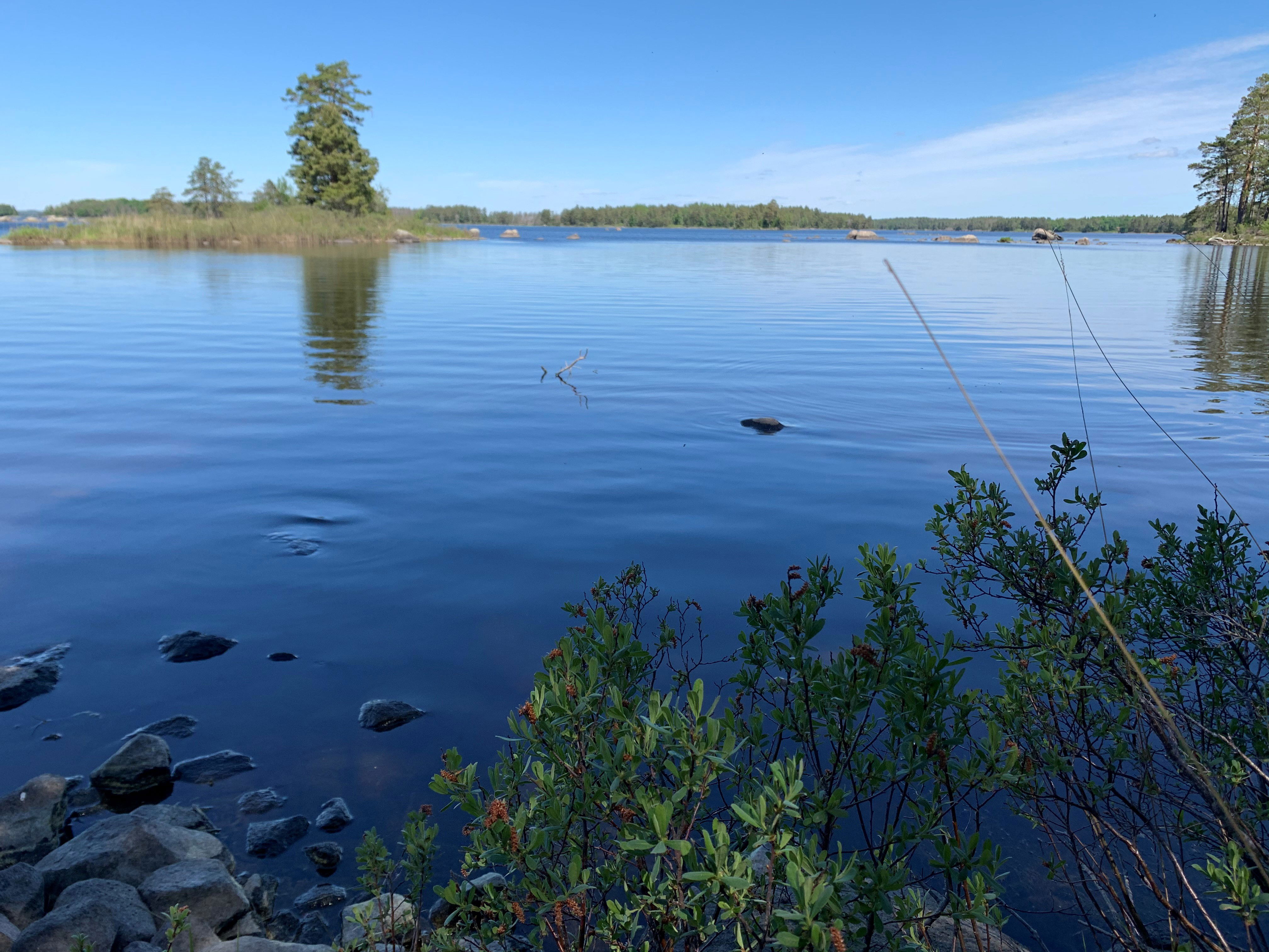 Allgunnen, Naturreservat — Naturkartan