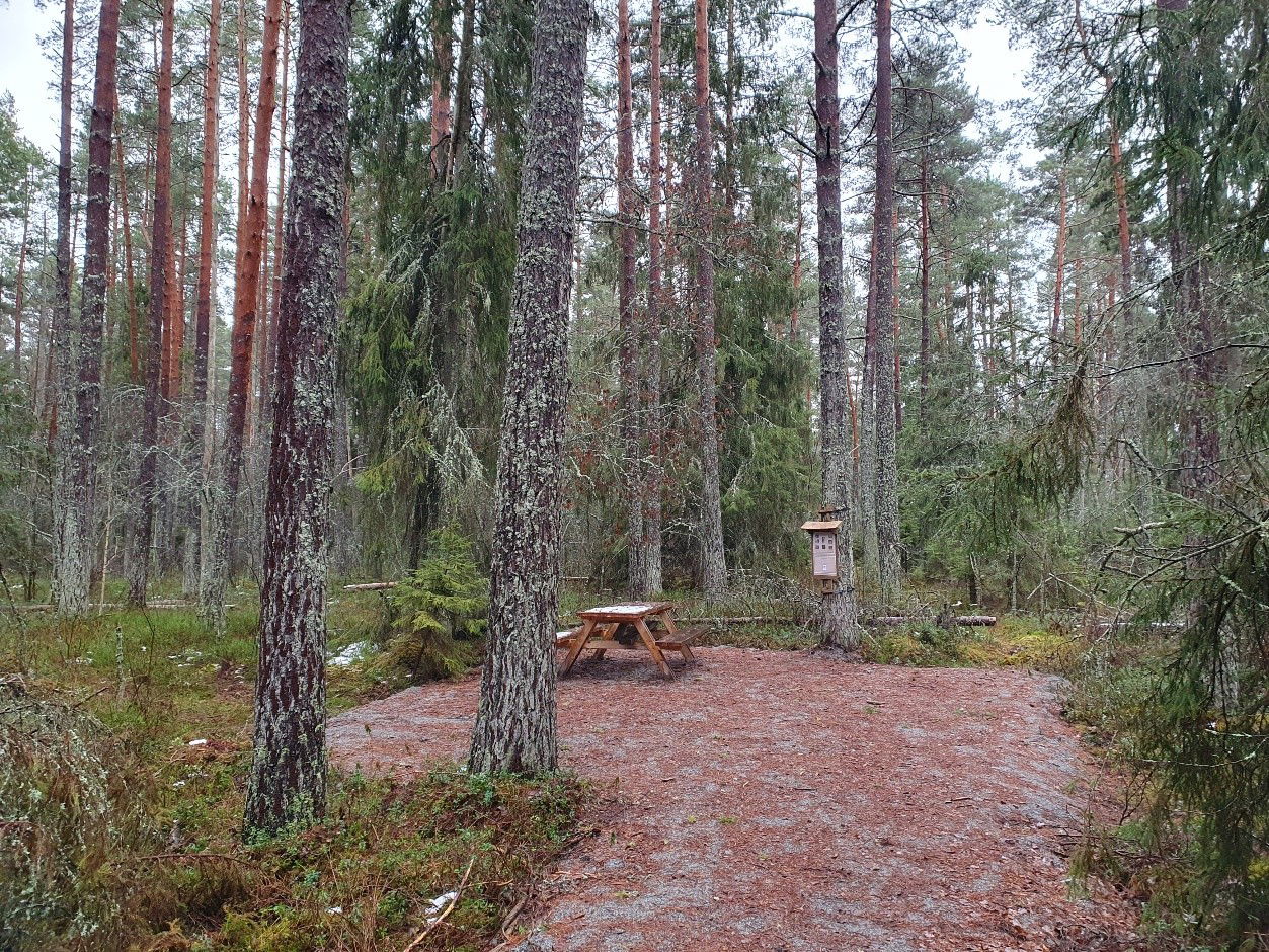 Skogsstigen, Gnien — Naturkartan