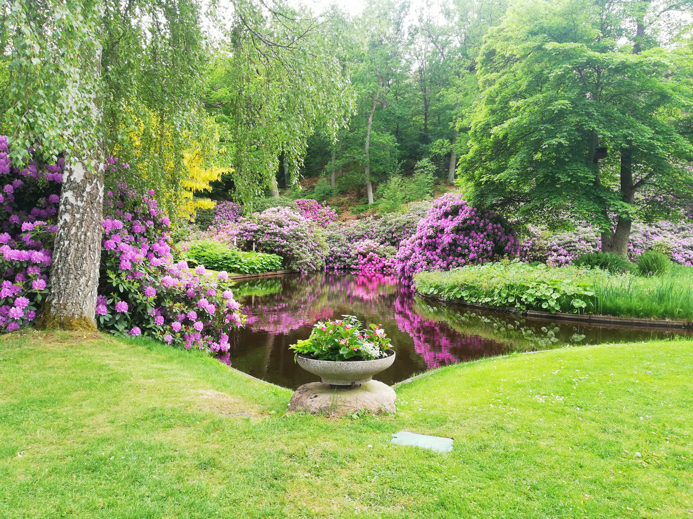 Rhododendronberget Ronneby Brunnspark Naturkartan Rhododendronberget Ronneby Brunnspark Naturkartan