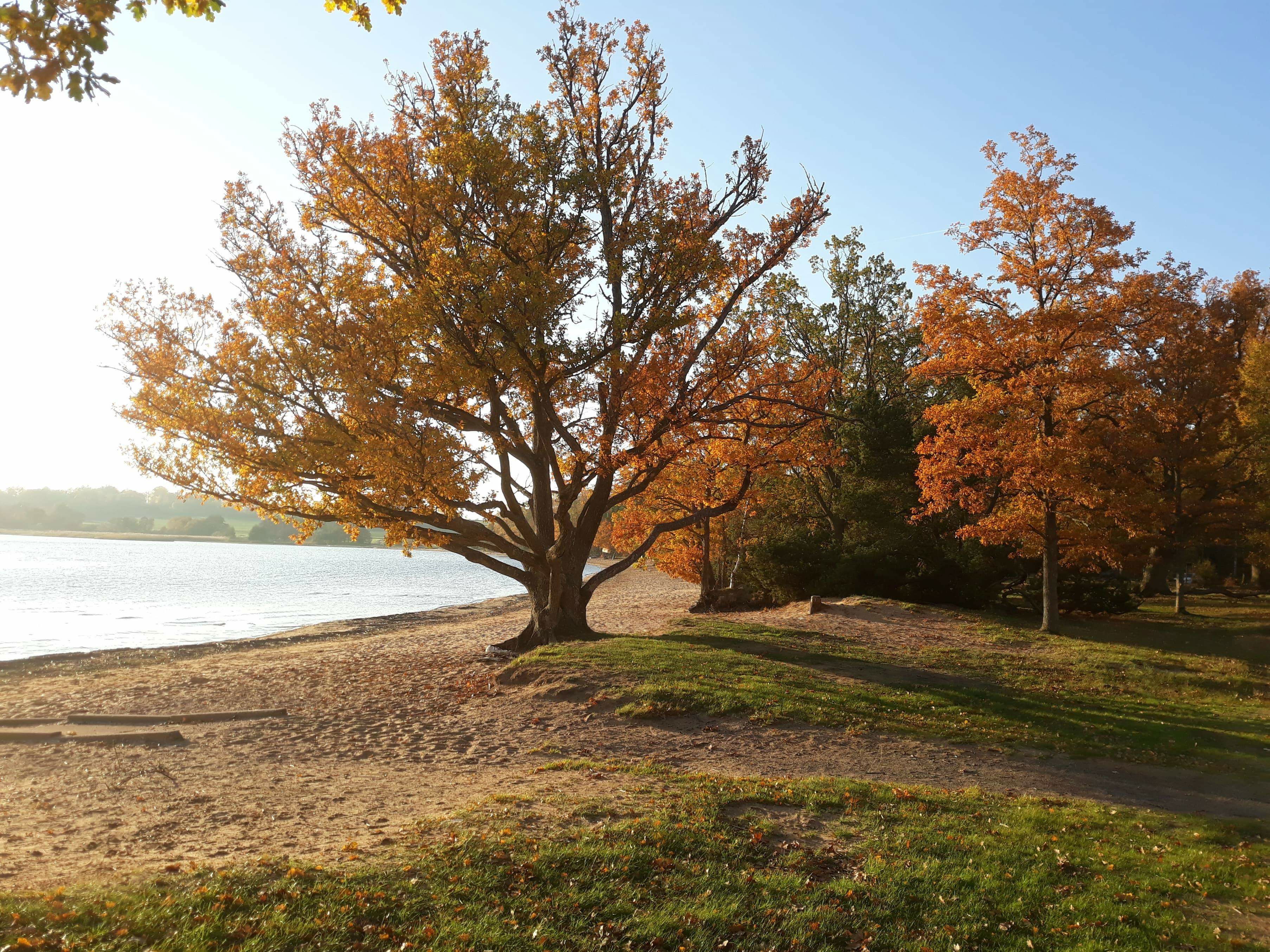 Utegym, Osudden — Naturkartan