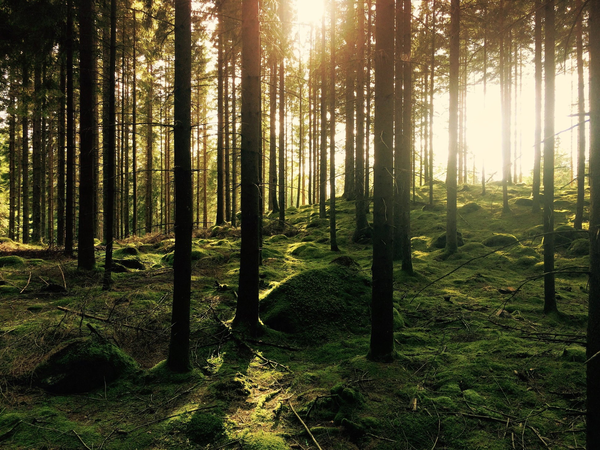 Naturguide till Lilla Edet — Naturkartan