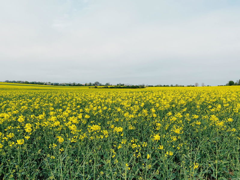 Naturkartan is your guide to the nature