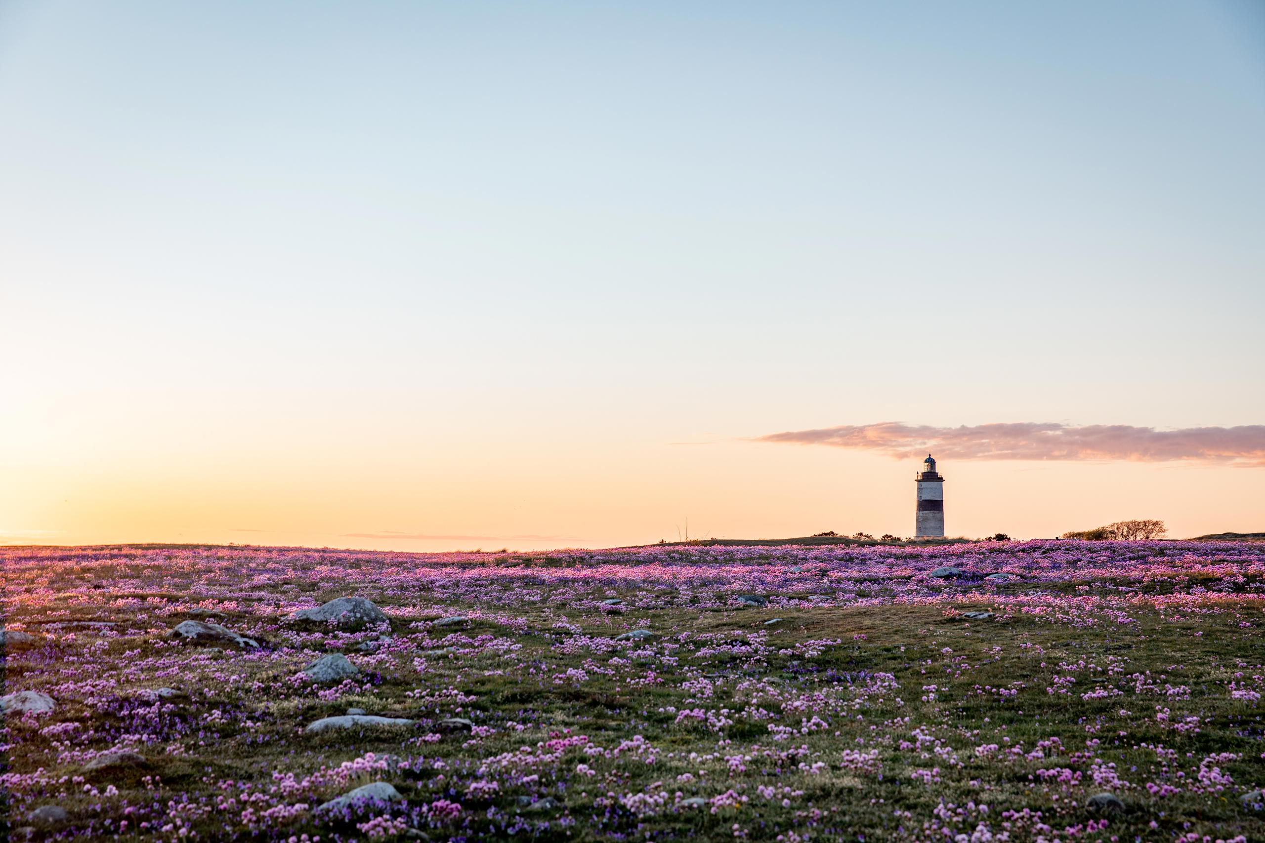 Morups Tånge, Naturreservat — Naturkartan