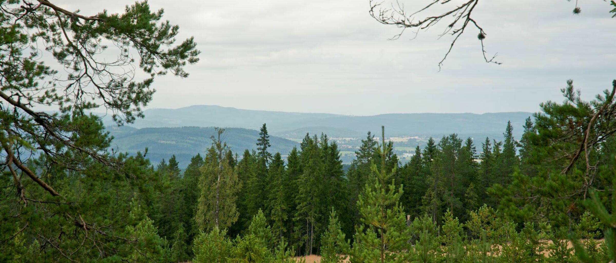 Gagnef kommun — Naturkartan
