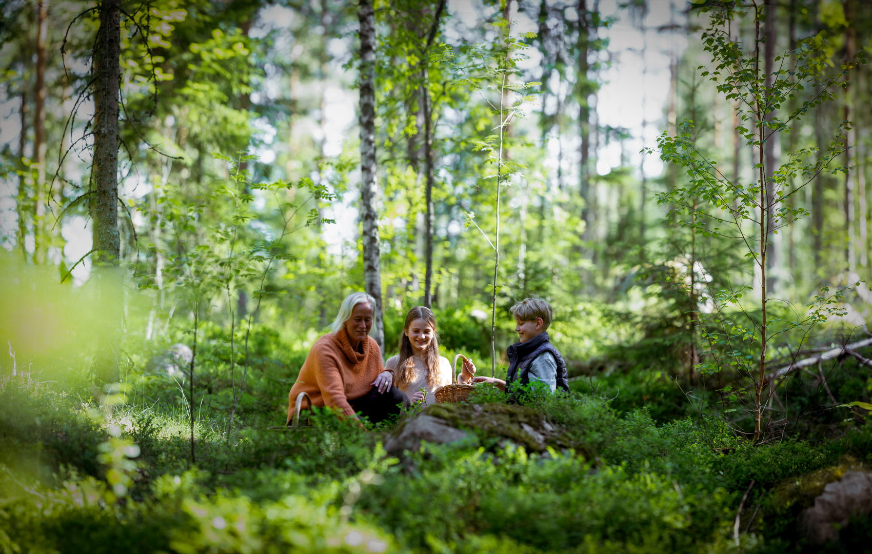 Ludvika kommun — Naturkartan