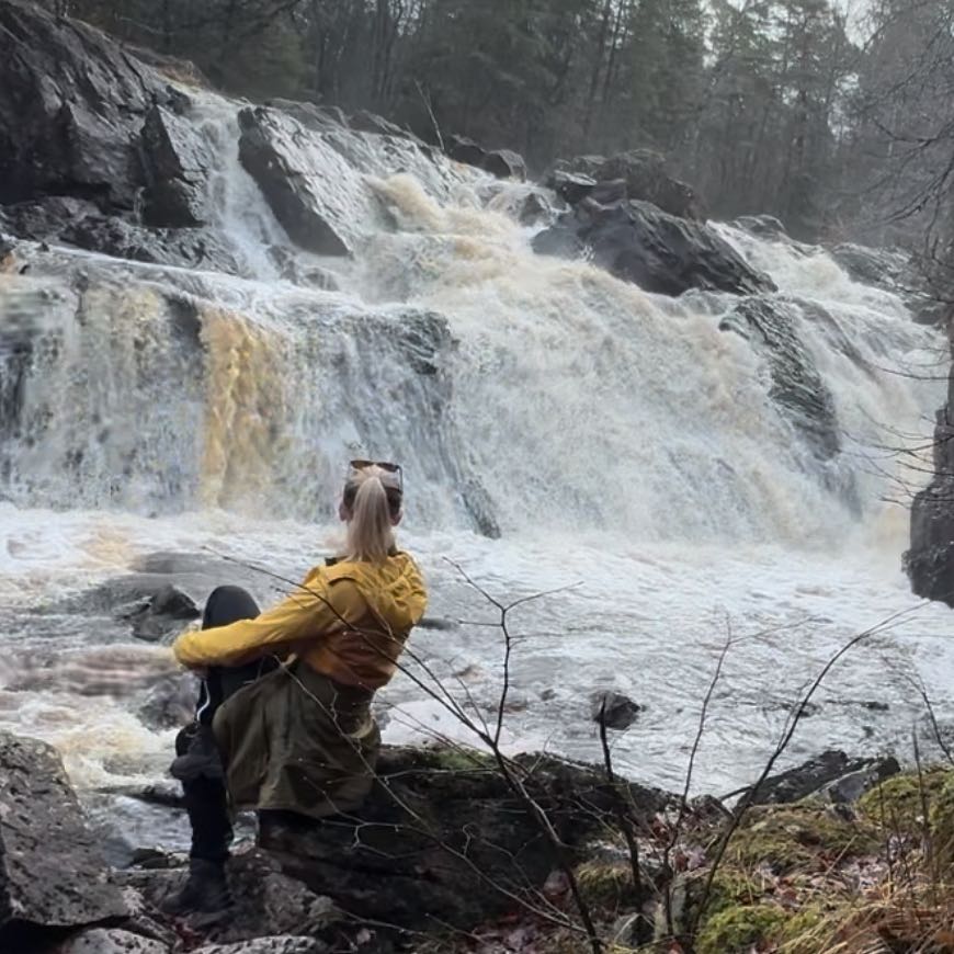 Danska fall, Naturreservat — Naturkartan